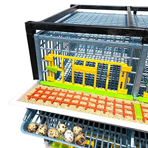 Quail Cage - 3 Layer (Power-Washable, Durable, ABS Plastic) | Hatching Time