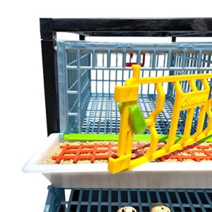 Quail Cage - 3 Layer (Power-Washable, Durable, ABS Plastic) | Hatching Time