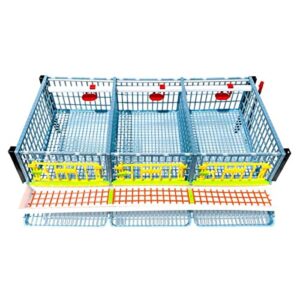 Quail Cage - 3 Layer (Power-Washable, Durable, ABS Plastic) | Hatching Time