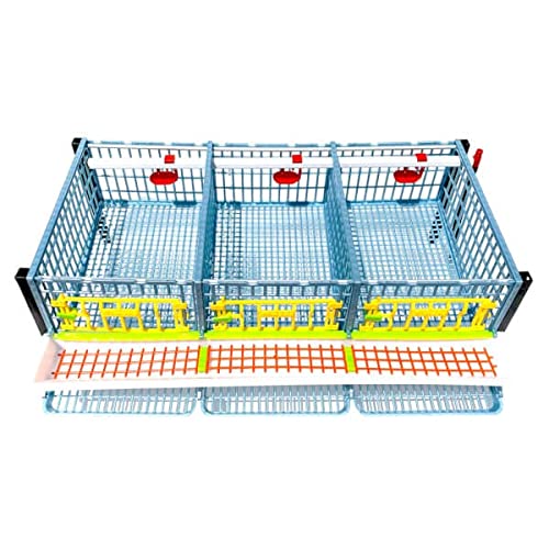 Quail Cage - 3 Layer (Power-Washable, Durable, ABS Plastic) | Hatching Time