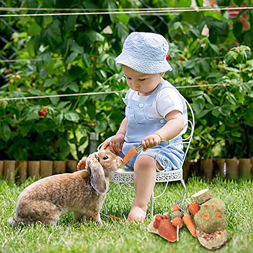 X-pet Rabbit Treats Guinea Pig Toys and Treats Bunny Chew Toys, Chinchilla Molar Toys, Timothy Hay Carrot Suitable for Guinea Pig, Hamster Chinchilla Rabbit Teeth Grinding and Chews