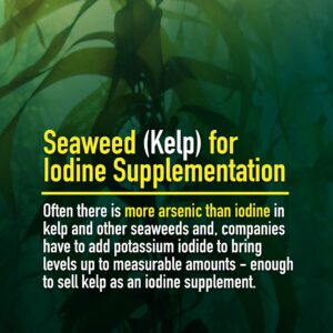 Organic Iodine 2 lbs. - Nutritional Supplement for Horses, Animals - w/ 18 Amino Acids