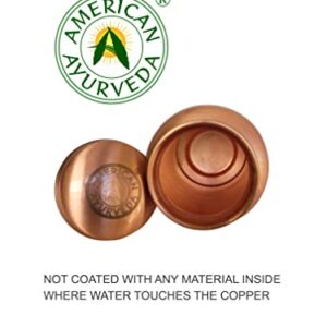 A American Ayurveda 100% Pure Copper Water Bottles Joint Free, Leak Proof, Tumbler, Flask, Yoga, Health Benefits, Natural Ayurvedic Alkaline Water with Water Temperature Indicator (600ml (20Oz))