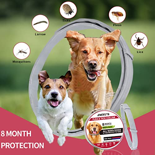 Flea and Tick Collar for Dogs, Flea and Tick Prevention for Dog, 27 Inch, 16 Month Protection, 2 Pack