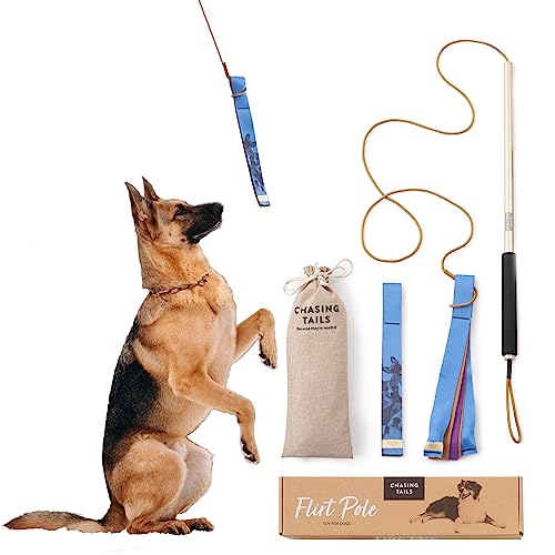 Chasing Tails Flirt Pole for Dogs Heavy Duty - 26 Inch with 30 Inch Rope and Two Toys for All Breeds - Spring Pole for Dogs, Dog Flirt Pole for Large Dogs, Dog Catcher Pole