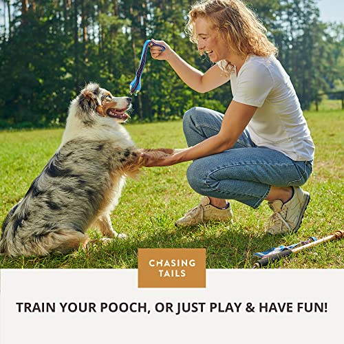 Chasing Tails Flirt Pole for Dogs Heavy Duty - 26 Inch with 30 Inch Rope and Two Toys for All Breeds - Spring Pole for Dogs, Dog Flirt Pole for Large Dogs, Dog Catcher Pole