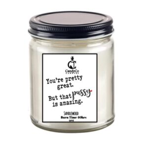 You're pretty great, Gift for Him, Anniversary Gift, Scented Candle, Gag Gift, Funny boyfriend gift, Husband Gifts, Funny Candles, Dick pussy