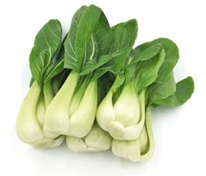 hipgirl 700 baby bok choy seeds for sprouting,cabbage seeds for planting,microgreen seeds planting seeds for home vegetable garden. (pak choi shanghai seeds(上海青江菜),2g, 700 seeds)