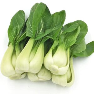 HipGirl 700 Baby Bok Choy Seeds for Sprouting,Cabbage Seeds for Planting,Microgreen Seeds Planting Seeds for Home Vegetable Garden. (Pak Choi Shanghai Seeds(上海青江菜),2g, 700 Seeds)