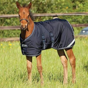 horseware ireland amigo foal turnout 200g navy/electricblue 42/48