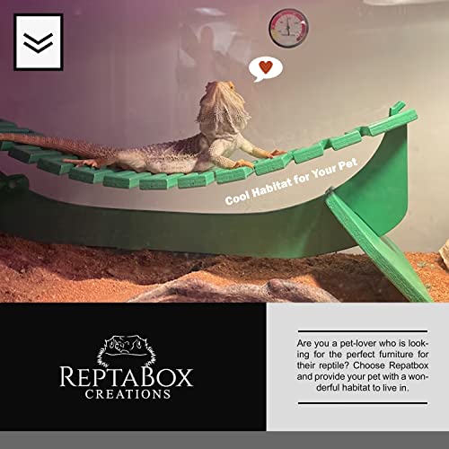 Reaptabox Creations Wood Hammock for Reptile Hide - Bearded Dragon Hammock - Premium Plywood Reptile Supplies - Available in 6 Colors – (22" L x 7.5" H)