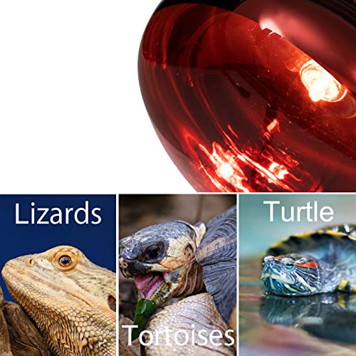 Protover Infrared Reptile Heat Lamp Bulb, 75 Watt Basking Spot Light, Red Heat Lamp Bulb for Reptiles and Amphibian Chicks, Dog Heating Use, 2Packs