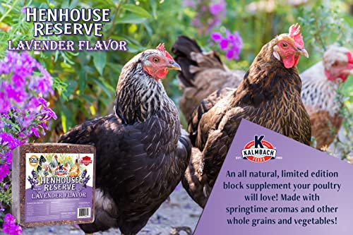 Kalmbach Feeds Henhouse Reserve Lavender Flavored Treat Block for Chickens, 20 lb