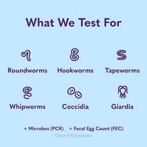 MySimplePetLab Routine Cat Stool Test Kit | Fast and Accurate Cat Worms and Intestinal Parasite Test | Mail-in Stool Sample Kit for Early Detection and Treatment of Cat Worms and Giardia