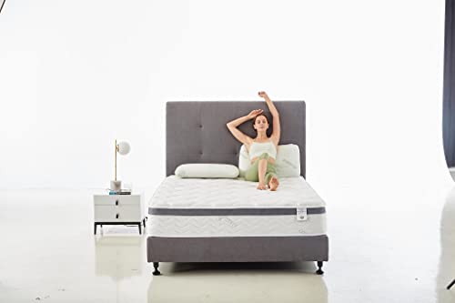 Queen Size Mattress - 10 Inch Cool Memory Foam & Spring Hybrid Mattress with Breathable Cover -Comfort Plush Euro Pillow Top - Rolled in a Box - Oliver & Smith