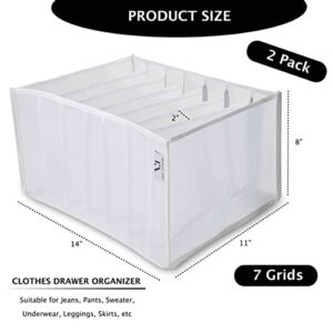 Vani Joprian Wardrobe Clothes Organizer, Closet Organizer Washable, Foldable, Breathable, Mesh Clothes Storage Organizer For Extra Large Jeans 2 Pcs (white)