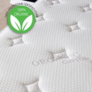 Twin Size Mattress - 12 Inch Cool Memory Foam & Spring Hybrid Mattress with Breathable Cover - Comfort Plush Euro Pillow Top - Rolled in a Box - Oliver & Smith