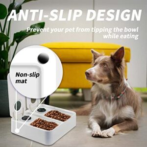 All for Paws Automatic Cat Feeder 2 Meal Dog Feeder, Dry and Wet Food Dispenser with 48-Hour Timer, Ice Pack Included, Dishwasher Safe