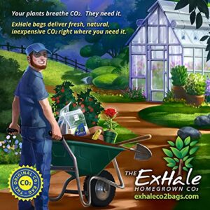 ExHale Homegrown CO2 365 - Self-Activated Bag for Grow Rooms & Tents - Great for Indoor Grow Rooms - CO2 for Grow Tents - 4lbs.