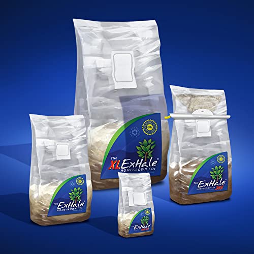 ExHale Homegrown CO2 365 - Self-Activated Bag for Grow Rooms & Tents - Great for Indoor Grow Rooms - CO2 for Grow Tents - 4lbs.