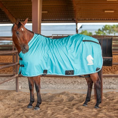 Classic Equine Classic Stable Sheet with Open Front, Turquoise, Large