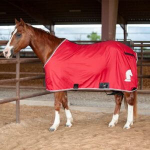 Classic Equine Classic Stable Sheet with Closed Front, Chili Pepper, Large