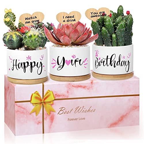 GOARTGIF BFF Birthday Gifts for Women Unique,Birthday Presents for Mom from Daughter,Cute Happy Your Birthday Pots Gifts,Any Age Year Old Birthday Keepsake Gifts Beautifully Gift Boxed