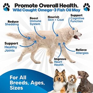 Omega 3 Fish Oil for Dogs - Better Than Salmon Oil for Dogs - Dog Fish Oil Supplement - Reduce Shedding & Itching - Supports Joints, Brain, Heart Health- Dog Skin and Coat Supplement - Fish Oil Liquid