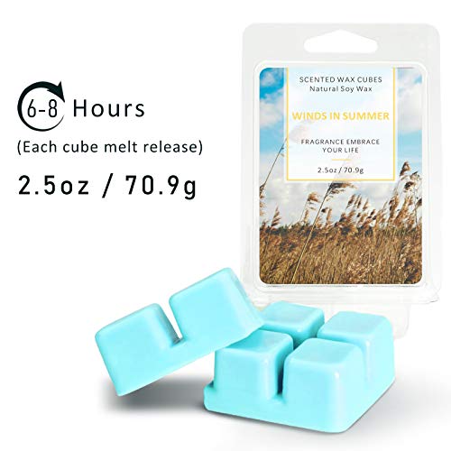 Scented Wax Melts, Wax Melts Wax Cubes, Soy Wax Cubes for Warmer Wax Melts Gift Set