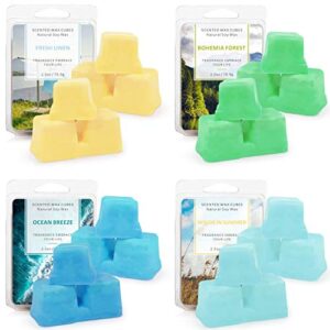 Scented Wax Melts, Wax Melts Wax Cubes, Soy Wax Cubes for Warmer Wax Melts Gift Set