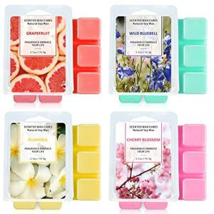 Scented Wax Melts, Wax Melts Wax Cubes, Soy Wax Cubes for Warmer Wax Melts Gift Set