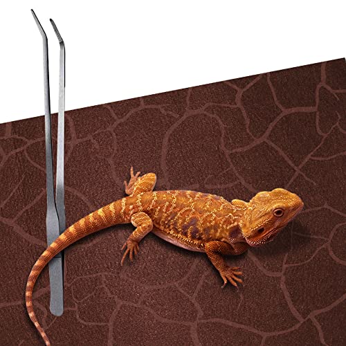 REP BUDDY 2 Pack Reptile Carpet Desert Reptile Mat & Reversible Substrate, Terrarium Liner Bedding, for Lizard,Chameleon,Gecko,Snake,Ceratophrys with Tweezers Feeding Tong (40 Gallon(36x18in))