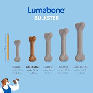 Lumabone Bulkster Durable Chew Toy for Aggressive Chewers, Dog Toys for Aggressive Chewers, Dog Toys, Real Bacon, Made in USA, Medium