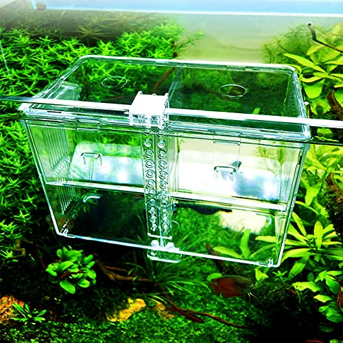 XEOGUIYA Acrylic Aquarium Breeder Box Hang on Back, Isolation Hatchery Feeding Boxes for Small Fish Fry Hatchery