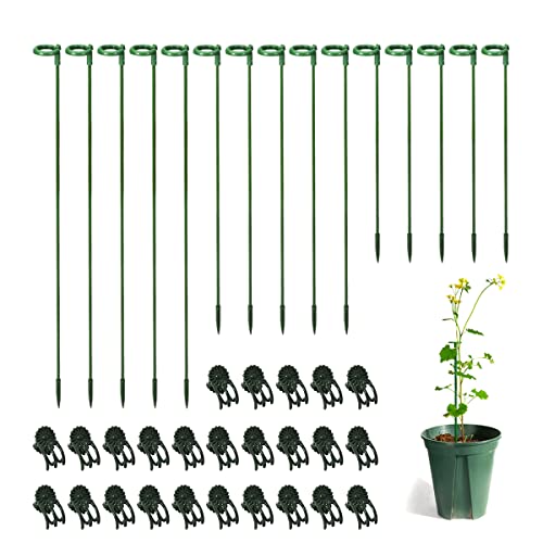 30 Pcs Plant Support Stakes with 30 Pcs Plant Clips Garden Floral Flower Support Single Stem Support Stake for Phalaenopsis Orchid Flower Roses Amaryllis