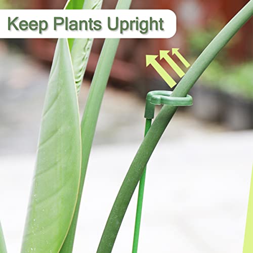 30 Pcs Plant Support Stakes with 30 Pcs Plant Clips Garden Floral Flower Support Single Stem Support Stake for Phalaenopsis Orchid Flower Roses Amaryllis