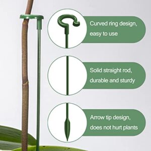 30 Pcs Plant Support Stakes with 30 Pcs Plant Clips Garden Floral Flower Support Single Stem Support Stake for Phalaenopsis Orchid Flower Roses Amaryllis