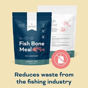 Infinity Soil - Fish Bone Meal - Sustainable and Natural Soil Amendment - Made from Dried Fish Bones - A Natural Source of Phosphorus and Calcium - 1 LB