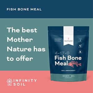 Infinity Soil - Fish Bone Meal - Sustainable and Natural Soil Amendment - Made from Dried Fish Bones - A Natural Source of Phosphorus and Calcium - 1 LB