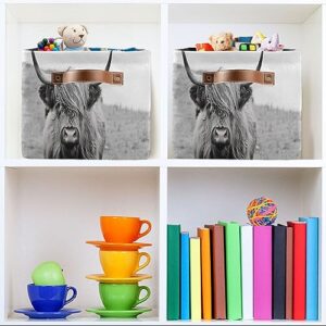 WELLDAY 1PCS Storage Basket Highland Cow Large Foldable Storage Bin Cube Collapsible Organizer