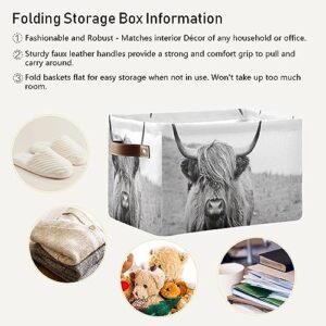 WELLDAY 1PCS Storage Basket Highland Cow Large Foldable Storage Bin Cube Collapsible Organizer