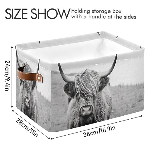 WELLDAY 1PCS Storage Basket Highland Cow Large Foldable Storage Bin Cube Collapsible Organizer