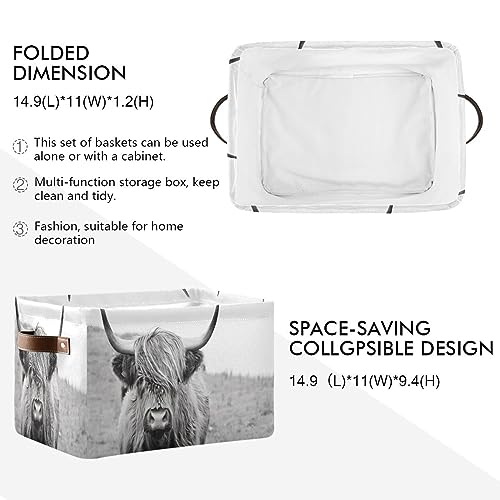 WELLDAY 1PCS Storage Basket Highland Cow Large Foldable Storage Bin Cube Collapsible Organizer