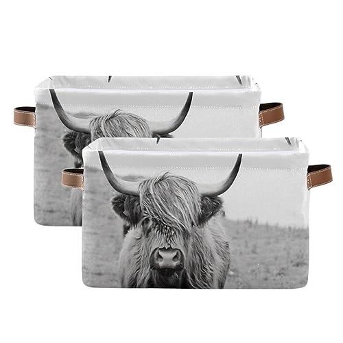 WELLDAY 1PCS Storage Basket Highland Cow Large Foldable Storage Bin Cube Collapsible Organizer