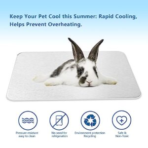 Oziyrnka 2pcs Rabbit Cooling Pad, Rabbit Cooling Mat Stay Cool Summer, Aluminum Rabbit Cooling, Bunny Cooling Pad Bite Resistance, Bunny Cooling Mat Keep Rabbit Cool, Self Cooling Mat for Small Pets.