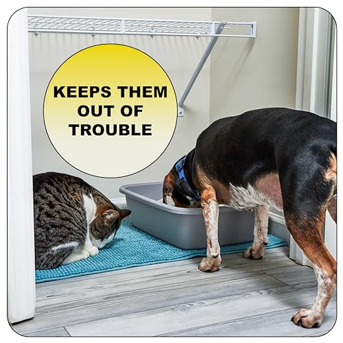 FlexLatch Cat Door Holder Latch - Bright White Cat Door Alternative Installs Fast Flex Latch Strap Let's Cats in and Keeps Dogs Out of Litter & Food. Safe Baby Proof One Piece No Measuring Extra Easy