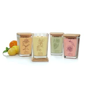 Yankee Candle Energizing Grapefruit & Rosemary Well Living Collection Large Square Candle, 19.5 oz.