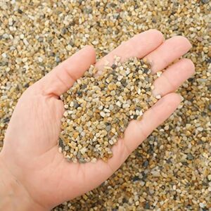 coarse sand stone 1.6lb decorative rocks sand stone,mix coarse sand for plants,soil cover bonsai,succulent,terrarium,course,garden,cactus sand, aquarium, fairy garden, diy