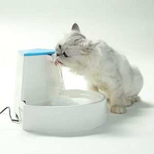 Pet Fountain, 84oz/2.5L Dog Fountain Automatic Water Dispenser for Dogs & Cats