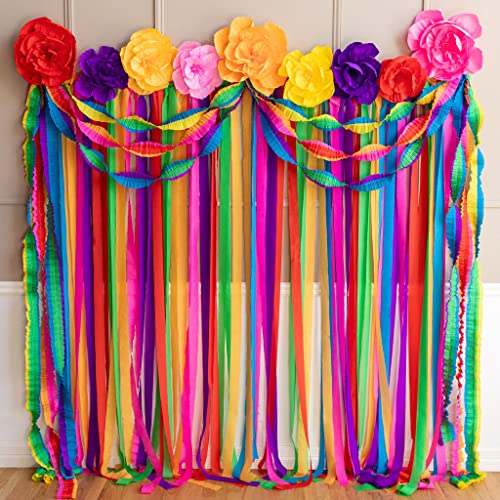 Riles & Bash Fiesta Streamer Backdrop with Crepe Paper Flowers and Ruffled Streamers (Fiesta)